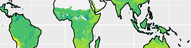 Global N uptake | Geocomputation and Earth Observation