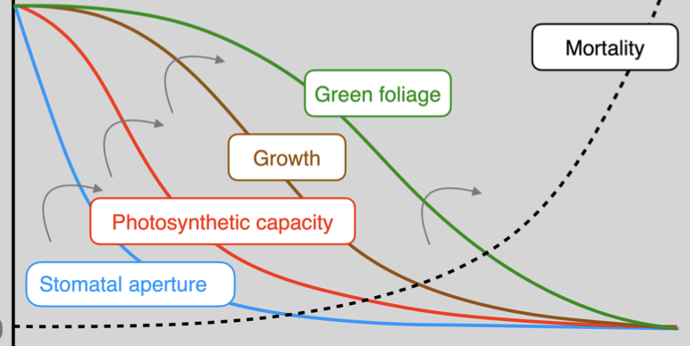 Ecological data assimilation | Geocomputation and Earth Observation